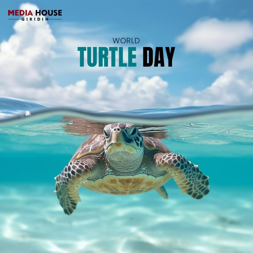 World Turtle Day Wishes in Hindi - Media House Giridih